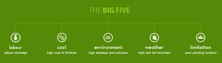 PLANTSAFE :: a true slow-release fertilizer